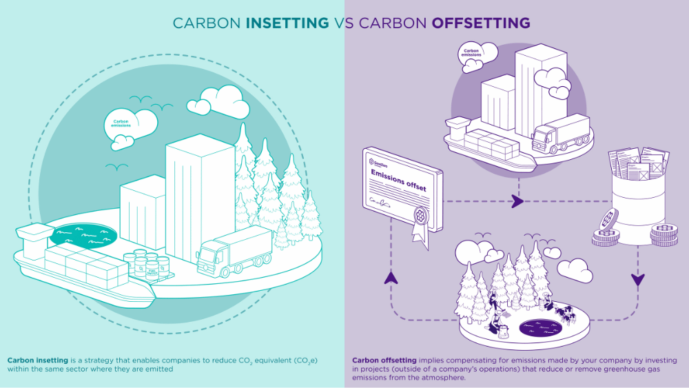 Insetting vs offsetting: What is the difference?